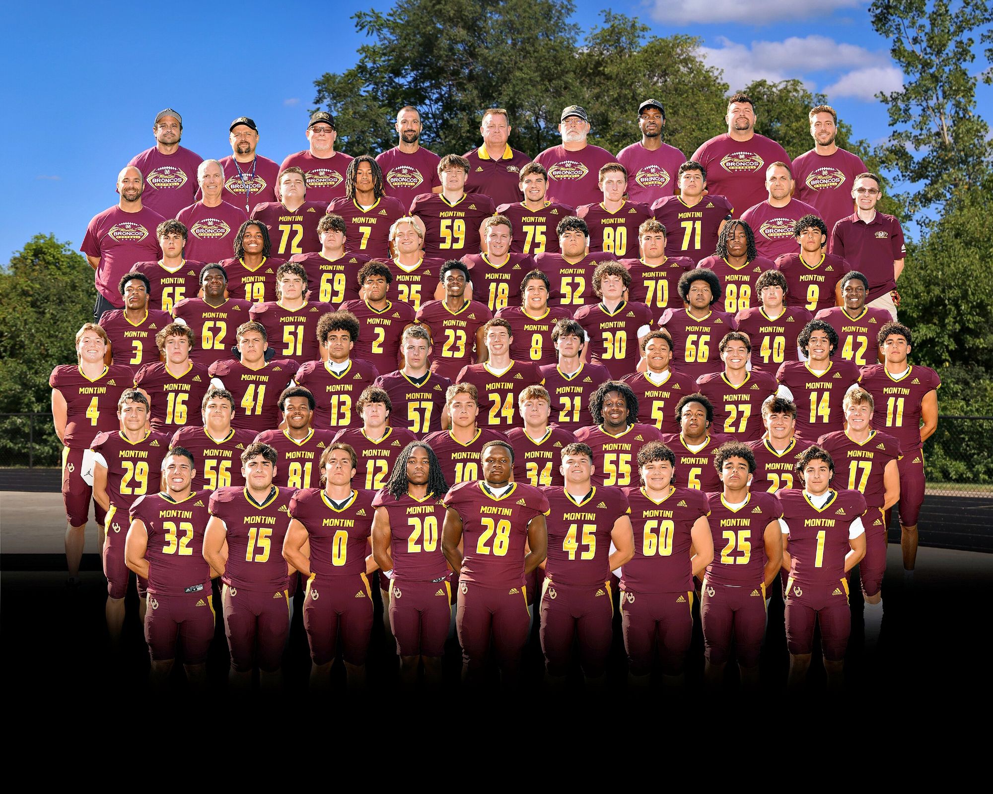 IHSA